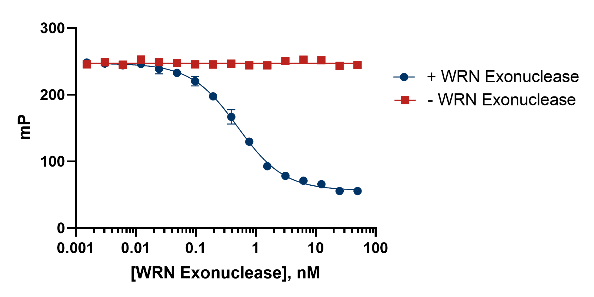 WRN Exonuclease Assay | A Validated Inhibitor Screening Assay