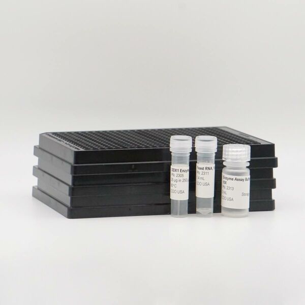 Enzolution™ DDX1 ATPase Assay System - BellBrook Labs