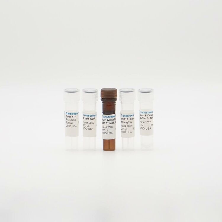 Kinase Assay Kit | Kinase Activity Assay | Bell Brook Labs
